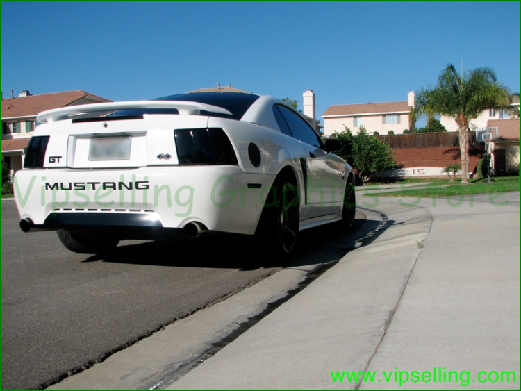Mustang Ford 99-04 Rear Bumper Insert Decals Set Any Color